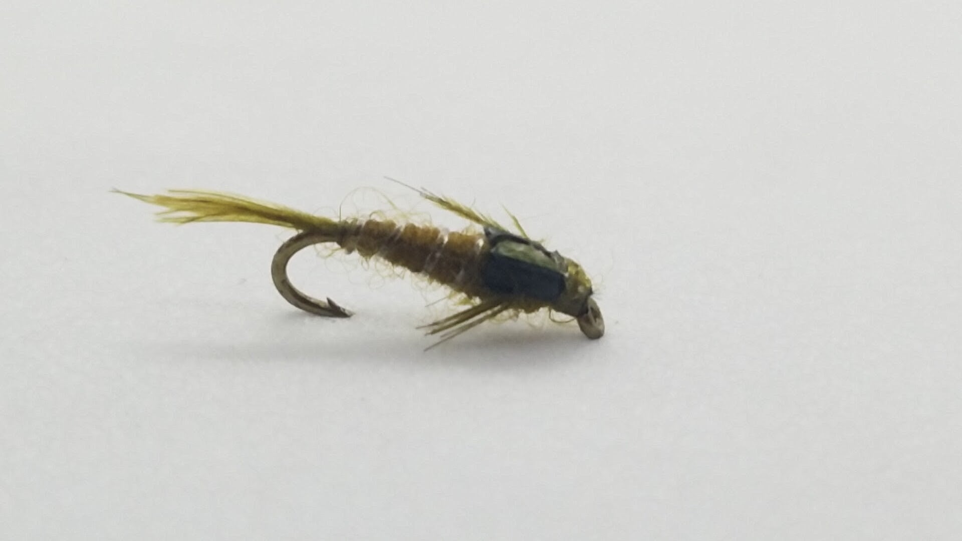 Split Case BWO – Cutthroat Anglers