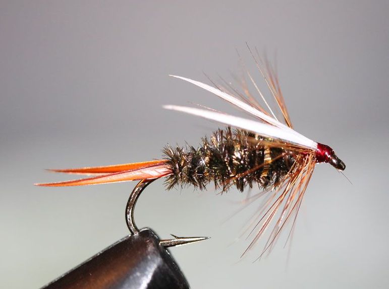 Prince Nymph – Cutthroat Anglers